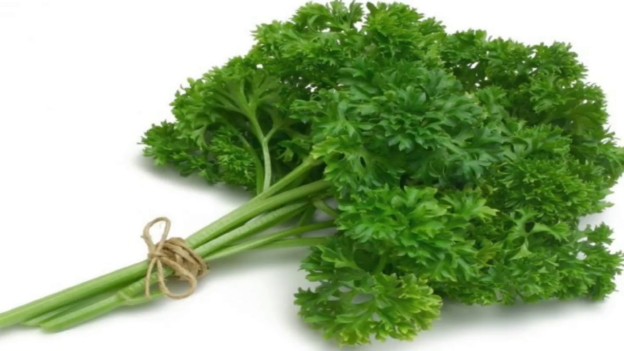 Les vertus du persil pour la santé ⋆ Actuvision